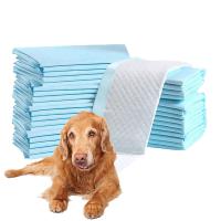 China Small Animals Protection Odor Eliminating Scented Pet Training Urine Absorbent Pad for sale