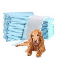 China Item Type Puppy Pet Urine Absorbent Pad Competitive Prices for Customer Requirements for sale