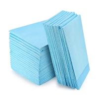 China Pet Training Disposable Pet Pads For Dogs In Black White Blue And Green for sale