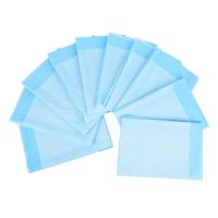 China Pet Training Disposable Pet Pads For Dogs In Black White Blue And Green for sale