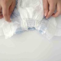China Large Female Dog Diapers Customized Color Disposable Dog Diaper for Sustainable for sale