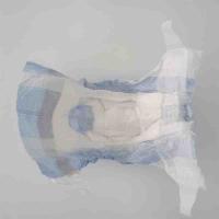 China Female Dog Diapers with 3D Leak Prevention Channel Humidity Indicator Included for sale
