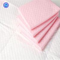 China Pet Training 120-250ml Absorbent Puppy Housebreaking Potty Training Pad for sale