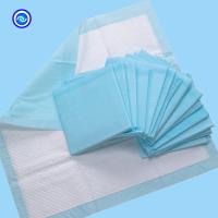 China Pet Training 120-250ml Absorbent Puppy Housebreaking Potty Training Pad for sale