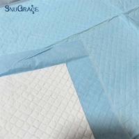 China Sustainable Disposable Pet Puppy Training Pee Pad For Dogs And Cats for sale
