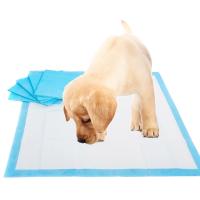 China Disposable Incontinence L XL Pee Pad Pad Training Pad for Pet Puppies Training Pee Pad for sale