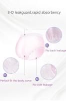 China Breathable White Disposable Women Period Pants for OEM ODM Distribution Needs for sale