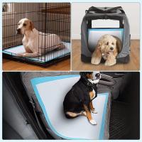 China Extra Large Absorbent Dog Training Pee Pads 60x90 60x60 60x45 with Soft Nowoven Frabic for sale