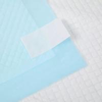 China Extra Large Absorbent Dog Training Pee Pads 60x90 60x60 60x45 with Soft Nowoven Frabic for sale