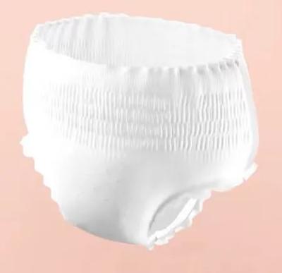 China 3 Years Shelf Life Mid-Waist Period Panties for Maternity Sanitary Feminine Pad Pants for sale