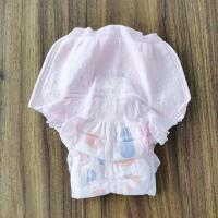 China Disposable Women's Menstrual Period Safety Pants with Free Sample Offered by Directly for sale