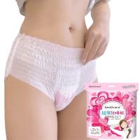 China Women Lady Girl Sanitary Napkin Disposable Period Pant Suitable for Day and Night for sale