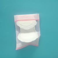 China ISO9001 CE Certified Customized Herbal Anion Women's 2022 Incontinence Panty Liner for sale