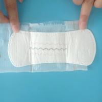 China ISO9001 CE Certified Customized Herbal Anion Women's 2022 Incontinence Panty Liner for sale