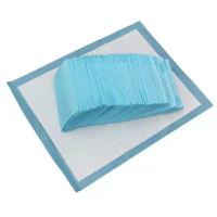 China 2500ml Water Absorption Health Care Product Disposable Under Pad for Surgical and Bed for sale