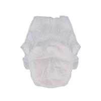 China Stay Confident and Comfortable with Super Absorbent Wingless Women's Period Pants for sale