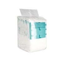 China ISO9001/ISO4001/ISO45001/CE Certified Disposable Incontinence Diaper for Elderly for sale