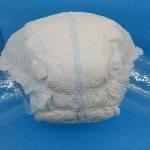 China Disposable Adult Diapers Panties with Non Woven Fabric Top Sheet for sale