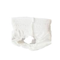 China Non Woven Fabric Top Sheet Incontinence Underwear for Unisex Adults Direct Disposable for sale