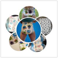 China Soft Nowoven Frabic Adult Diaper for Customer's Requirement and Satisfaction for sale
