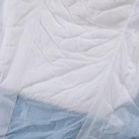 China Customer's Requirement for Adult Diapers Extra Thick Medical Diapers Have You Covered for sale