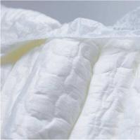 China Disposable Printed Adult Diaper Container for Men/Women Briefs Japan Sap Performance for sale