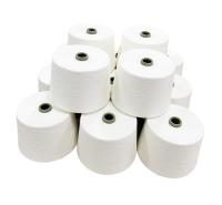 China Ne 36/1 Siro Compact Polyester Viscose 80/20 Yarn for Weaving Raw White AA Grade for sale