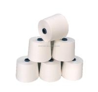 China Lyocell LF / Bamboo 50 / 50 NE 21/1 Siro Compact SPUN Raw Yarn For Weaving for sale