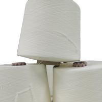 China Knitting and Weaving Ne32S 20D Core Spun Yarn with Polyester/Lyocell/Silk 50/30/20 Blend for sale