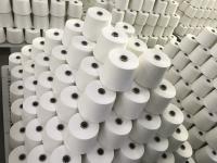 China Ne30/1 Siro Spun Yarn for Knitting 100% Bamboo Material Tested Evenness Twist 750TPM for sale