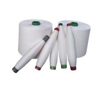 China 65% Rayon 35% Nylon Ne 40/1 Ring Siro Spun Raw Yarn for Knitting and Weaving Evenness 9.32 for sale