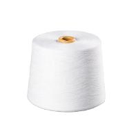 China Polyester / Triangle Polyester / Lyocell A100 64 /30 / 6 NE 50/1 Siro Yarn For Weaving for sale