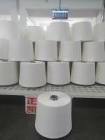 China Polyester/Viscose TR 80/20 Blended Spandex Core Spun Yarn Raw White Yarn for Denim Fabric for sale