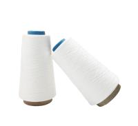 China Ne30/1 65% Polyester 35% Viscose Blended Siro Compact Spun Yarn from Chinese Exporters for sale
