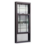 China Customized UPVC Black Single-Hung Windows with Roller Blind Curtain Type for sale