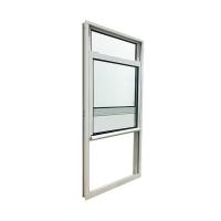 China Modern Design Fenesta UPVC Singles Hung Windows OEM Customized Design Alternative for sale