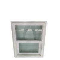China Tinted Glass Single Hung Pvc Frame Mosquito Net Windows for Vertical Opening Pattern for sale