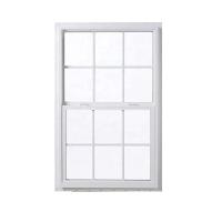 China 6063-T5 Profile European Style Net Screen Mosquito Double Glaze Vinyl Double Hung Windows for sale