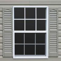 China Double Hung Steel Sash Windows Upvc Frame Custom Others Windows Type American Standard for sale
