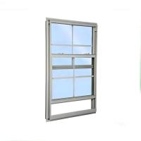 China Double Hung Steel Sash Windows Upvc Frame Custom Others Windows Type American Standard for sale