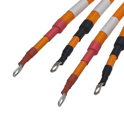 China High Voltage  New Energy Auto Wire Harness High Temperature Resistance for sale