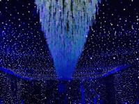 China Blue and White twinkle cloth for performance background LED Star Curtain for sale