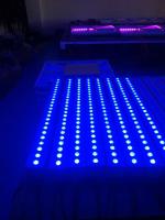 China Professional 24x3W 3 in 1 IP65 Wedding Disco LED Wall Washer Light for DJ Club Bar for sale