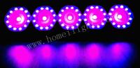 China DMX Control LED 5 Eyes Chameleon Matrix LED Wallwasher RGB For Stage Party for sale
