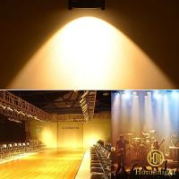 China 100W Warm White COB Par Light For Church Stage Performance Dimmer Compatible for sale