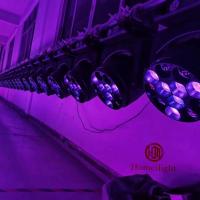 China 12*40W LED RGBW 4in1 Zoom Beam Moving Lights for Club Bar High Power Wash Lights for sale