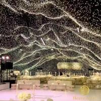 China Romantic Wedding Party Warm White LED Star Curtain for Church Ceiling Support Dimmer for sale