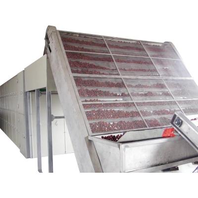 China Air Energy Heat Source Continuous Belt Dryers Single Layer Multi Layer 10 To 40KW for sale