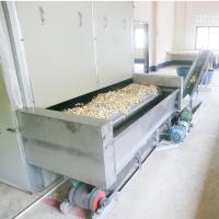China Electric Heating Sweet Potato 1.1kw Continuous Mesh Belt Dryer Machine Rustproof for sale