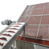 China Uniform Hot Air Dehydration Jujube Belt Dryer Machine ODM Space Saving for sale